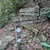 Collins Gulf Trail to Horsepound Falls and Collins River, Tennessee ...