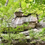 Core Arboretum Loop, West Virginia - 275 Reviews, Map | AllTrails