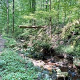 Henderson Park Loop, Georgia - 1,524 Reviews, Map | AllTrails