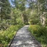 Limberlost Trail, Virginia - 787 Reviews, Map | AllTrails