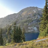White Pass Pilot Ridge Loop Trail, Washington - 116 Reviews, Map ...