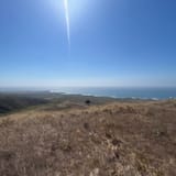 Point Buchon Trail, California - 578 Reviews, Map | AllTrails