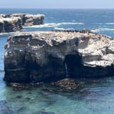 Point Buchon Trail, California - 526 Reviews, Map | AllTrails