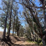 Point Buchon Trail, California - 578 Reviews, Map | AllTrails