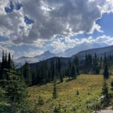Silver Forest Trail, Washington - 472 Reviews, Map | AllTrails