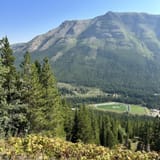 Mount Haig Lake Trail, Alberta, Canada - 383 Reviews, Map | AllTrails