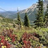 Mount Haig Lake Trail, Alberta, Canada - 383 Reviews, Map | AllTrails