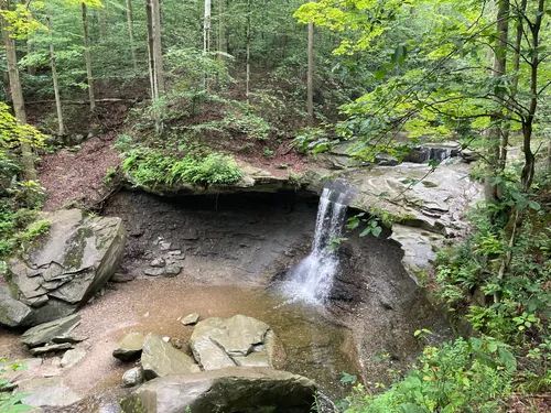 10 Best Trails and Hikes in Peninsula | AllTrails