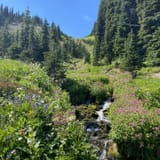 Berkeley Park Trail, Washington - 326 Reviews, Map | AllTrails