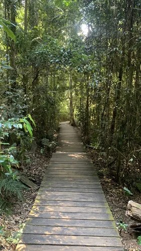 10 Best Trails and Hikes in Mount Glorious | AllTrails