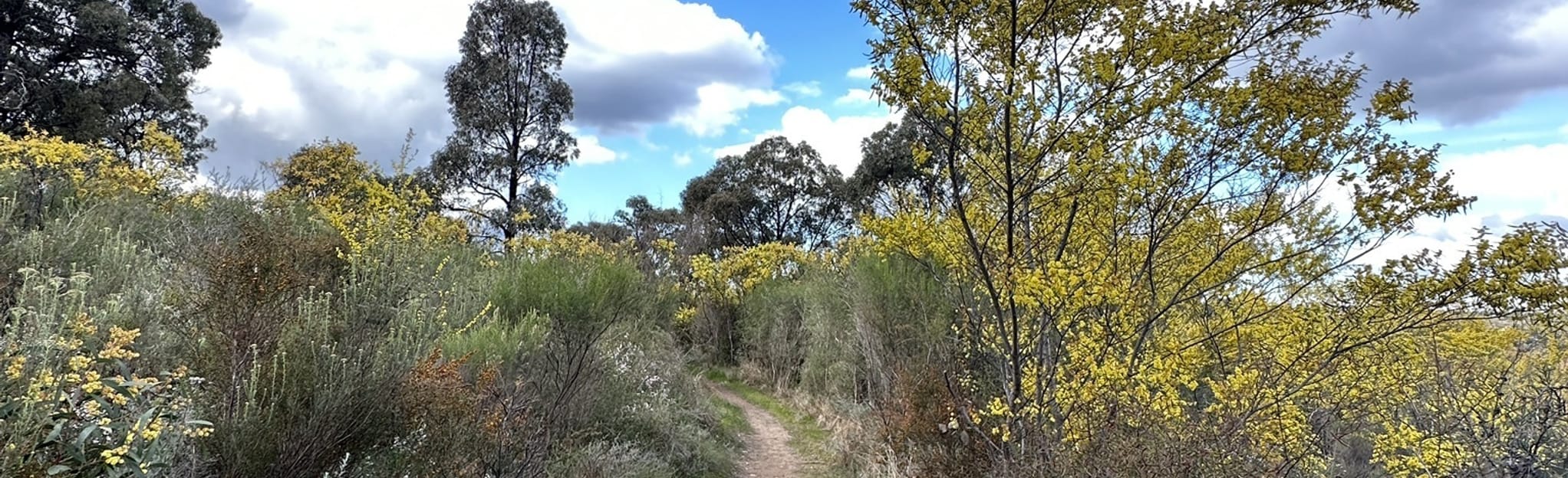Goldfields Track: Bendigo: 14 Reviews, Map - Victoria, Australia ...