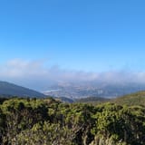 Old Colma Road Loop, California - 1,790 Reviews, Map | AllTrails