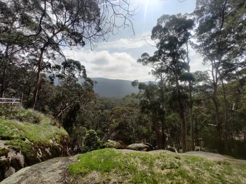 Best Hikes and Trails in Mount Cole State Forest | AllTrails