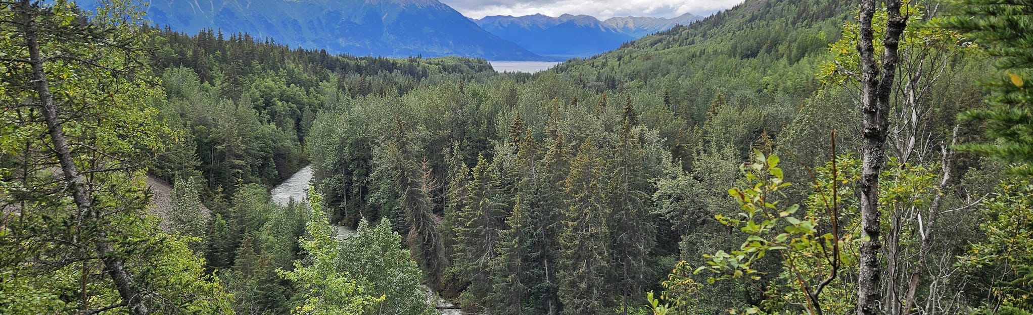 Bird Creek Falls, Alaska - 335 Reviews, Map | AllTrails