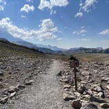 Berkeley Park Trail, Washington - 395 Reviews, Map | AllTrails