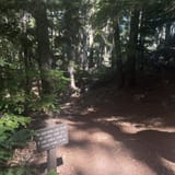 Berkeley Park Trail, Washington - 395 Reviews, Map | AllTrails