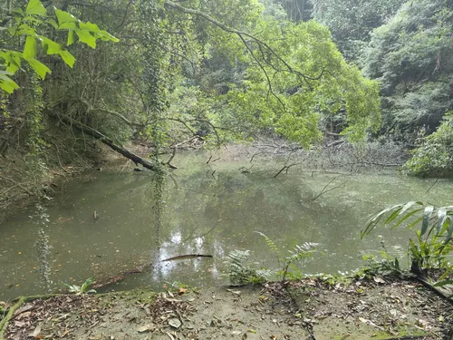 Best Hikes and Trails in Mount Faber Park | AllTrails