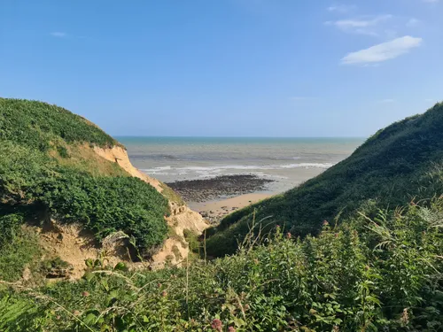 10 Best Forest Trails in High Weald National Landscape (AONB) | AllTrails