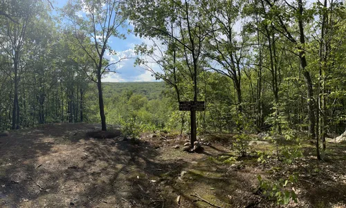 2023 Best Views Trails in Townsend | AllTrails