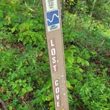 Lost Cove Trail, North Carolina - 212 Reviews, Map | AllTrails