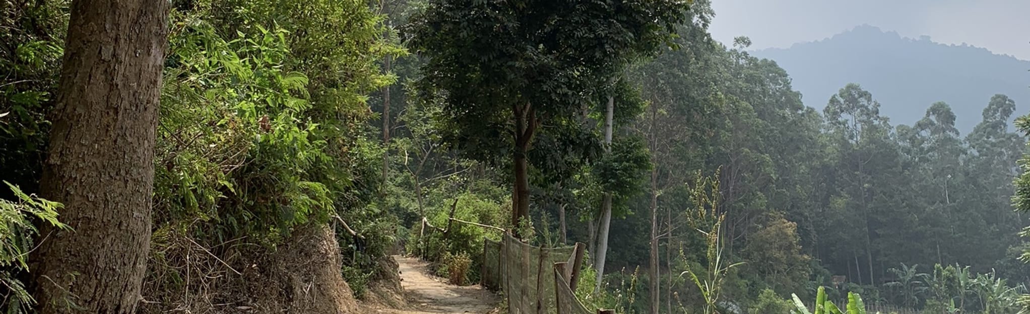 Mount Burangrang, West Java, Indonesia - 24 Reviews, Map | AllTrails