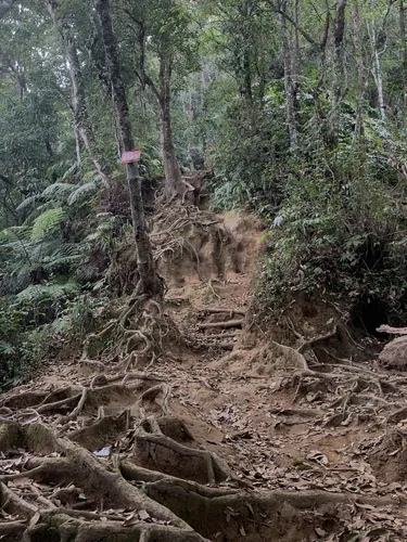 Best Hikes and Trails in Cagar Alam Gunung Burangrang | AllTrails