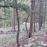 Cabin Loop Trail, Arizona - 218 Reviews, Map | AllTrails