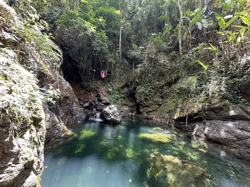 Best Hikes and Trails in Maricao State Forest | AllTrails