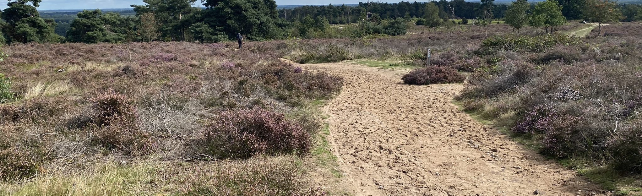 Lemelerberg - Lage Veld - Archemerberg: 2 Reviews, Map - Overijssel ...