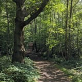 Petts Wood and Hawkwood Circular, London, England - 197 Reviews, Map ...