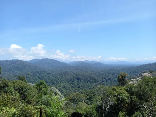 2023 Best Wild Flowers Trails in Padang Tengku | AllTrails