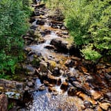 Big Therriault Lake to Therriault Pass Loop, Montana - 22 Reviews, Map ...