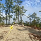 Longleaf Vista Interpretive Trail, Louisiana - 306 Reviews, Map | AllTrails
