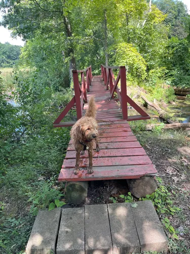 Best Hikes and Trails in Highland Pond Preserve | AllTrails