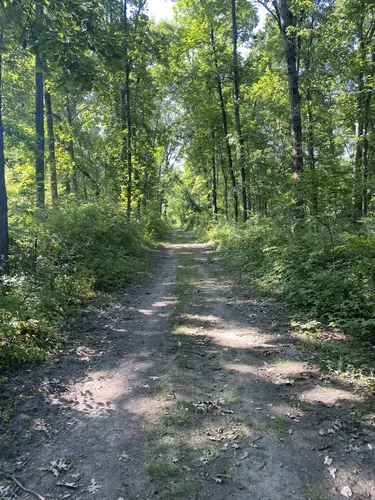 2023 Best Wildlife Trails in Crown Point | AllTrails