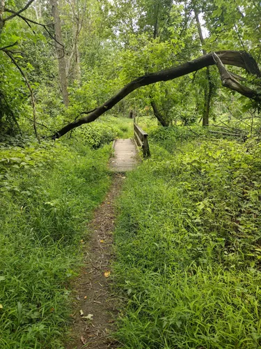 2023 Best Forest Trails in Ripon | AllTrails