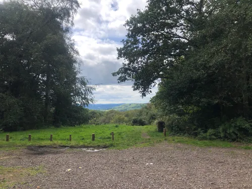 10 Best Trails, Walks, and Paths in Haslemere | AllTrails