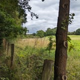 Petts Wood and Hawkwood Circular, London, England - 197 Reviews, Map ...