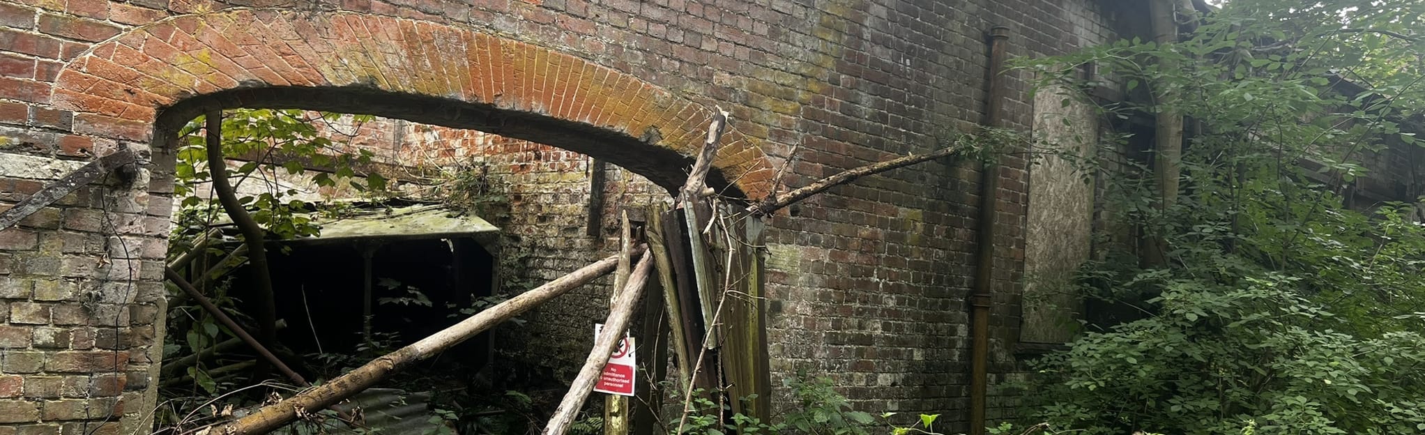 Hevingham Park Circular, Norfolk, England - 22 Reviews, Map | AllTrails