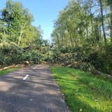 Maple Highlands Trail, Ohio - 310 Reviews, Map | AllTrails