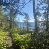 Scoville Point via Stoll Trail, Michigan - 291 Reviews, Map | AllTrails