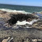 Devil's Churn, Trail of the Restless Way, and Captain Cook Loop, Oregon ...