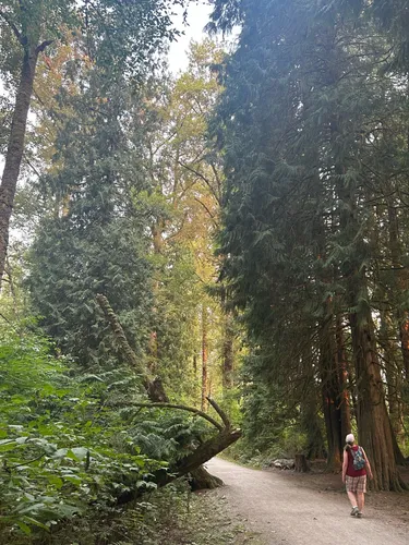 Best Hikes and Trails in Derby Reach Regional Park | AllTrails