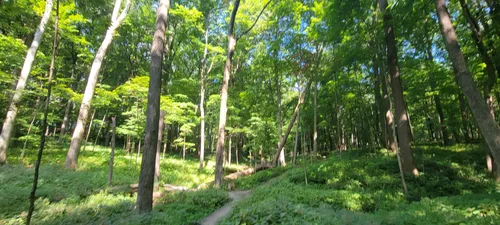 Best Hikes and Trails in Purdue Horticultural Park | AllTrails