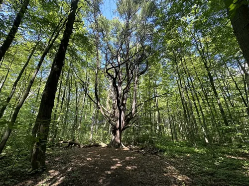 Best Hikes and Trails in Red Rocks Park | AllTrails