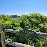 Parson's Way, Maine - 348 Reviews, Map | AllTrails