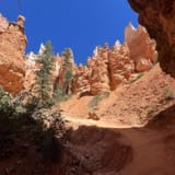 Navajo Loop Trail, Utah - 3,659 Reviews, Map | AllTrails