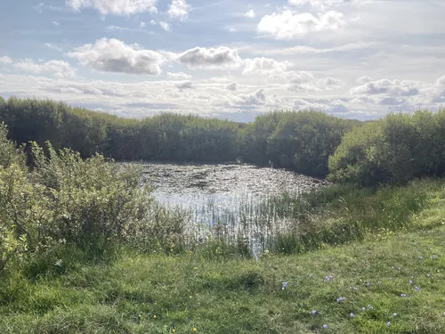 Best Hikes and Trails in North Walney National Nature Reserve | AllTrails