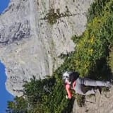 Middle Sister Trail, Alberta, Canada - 423 Reviews, Map | AllTrails