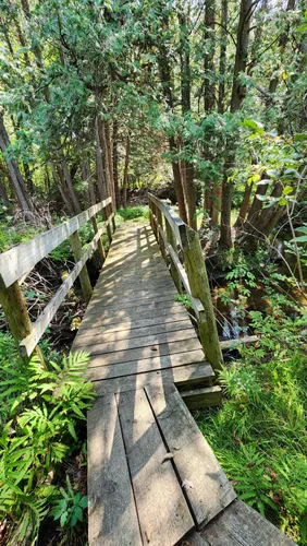 Best Hikes and Trails in Cosner and Bennett-Barnes Nature Preserve ...